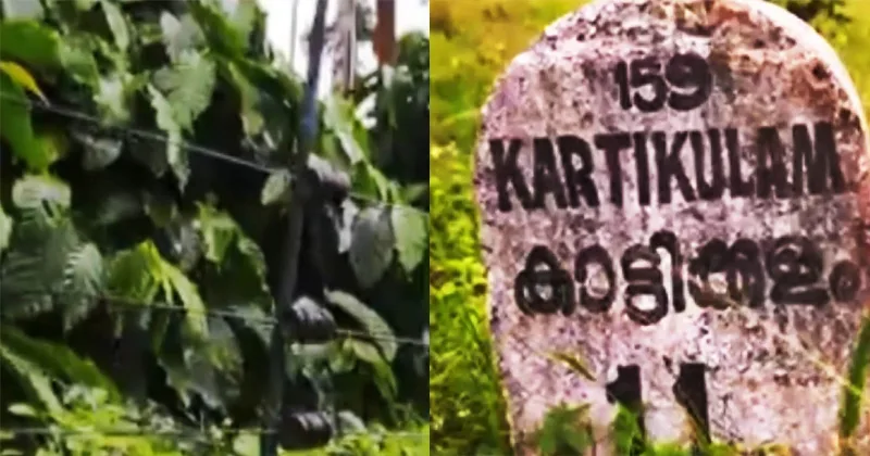 മനുഷ്യർക്കും മൃഗങ്ങൾക്കും സംരക്ഷണം നൽകി ആന പ്രതിരോധ മതിൽ